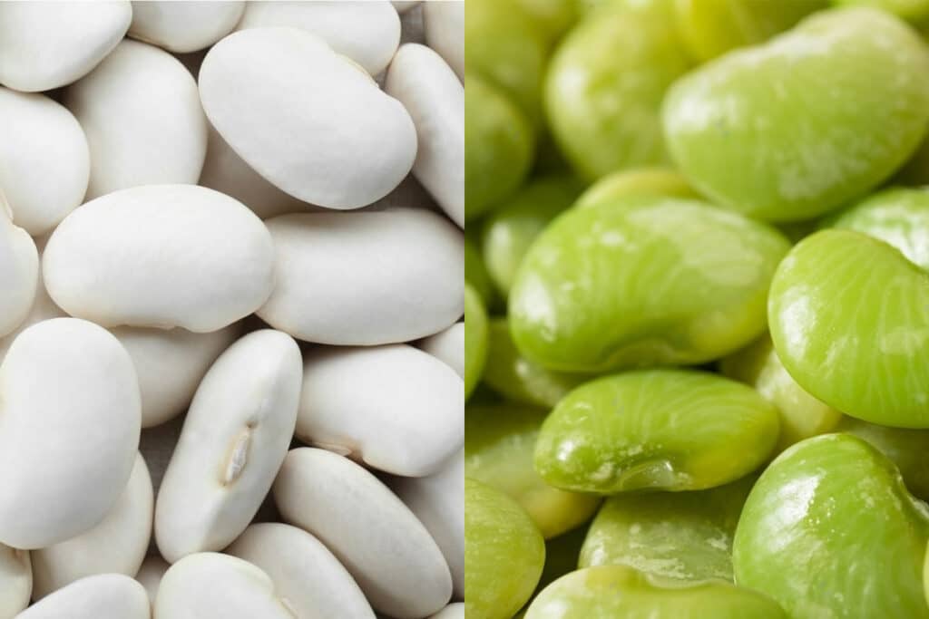 Butter Beans Vs. Lima Beans: Unveiling Differences and Benefits ...
